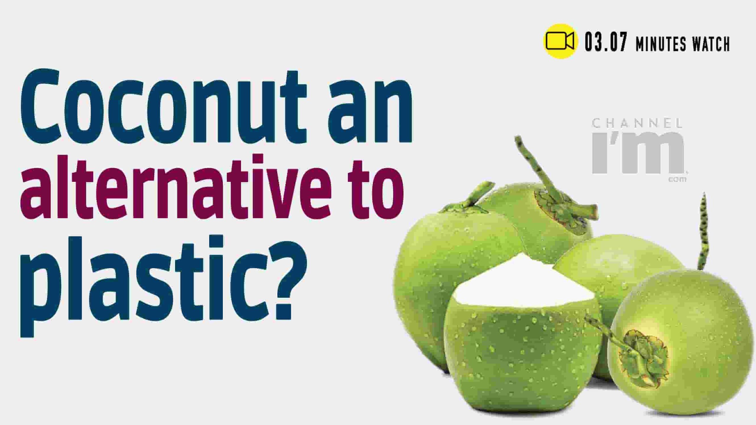 This Philippines-based startup make food containers out of coconut ...
