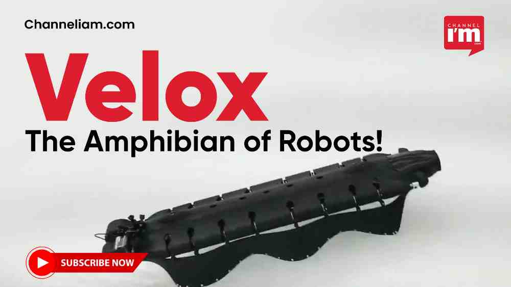 Velox The Amphibian of Robots! - Channeliam / Channel I'M English