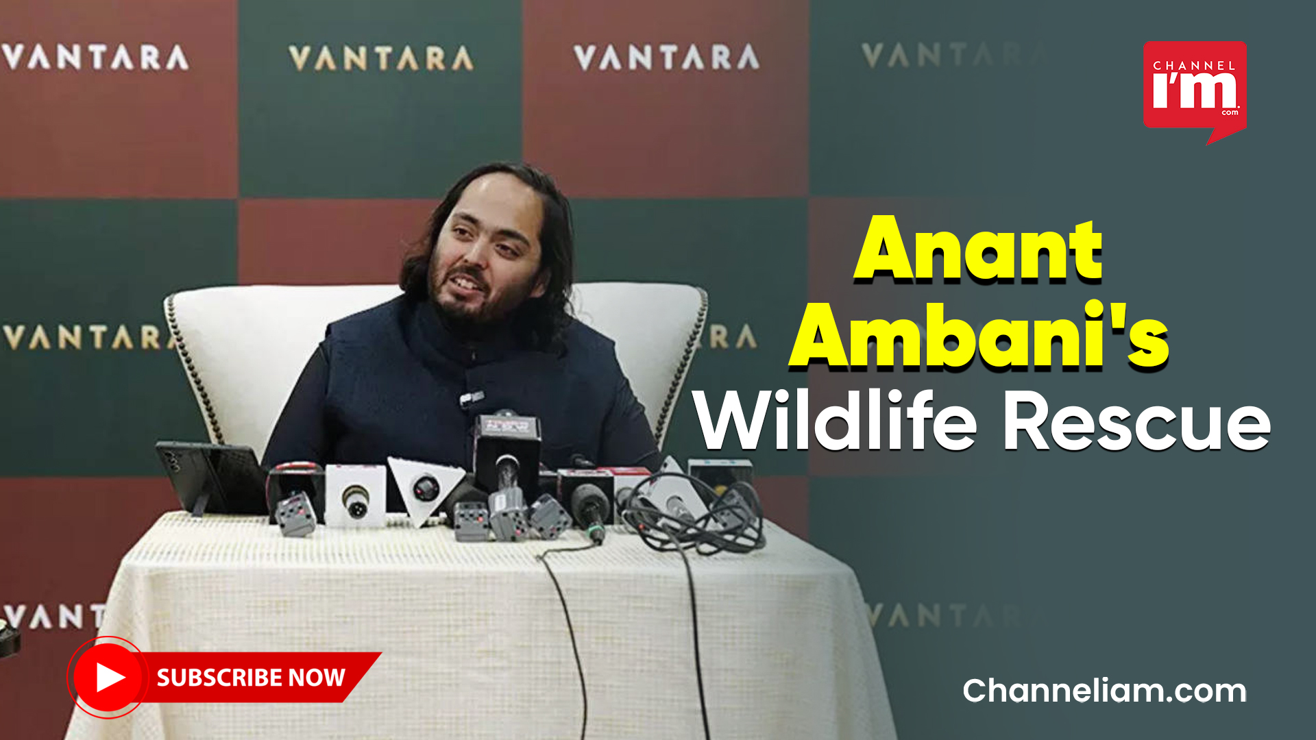 Vantara Wildlife Conservation: Anant Ambani's Vision for India's Wildlife
