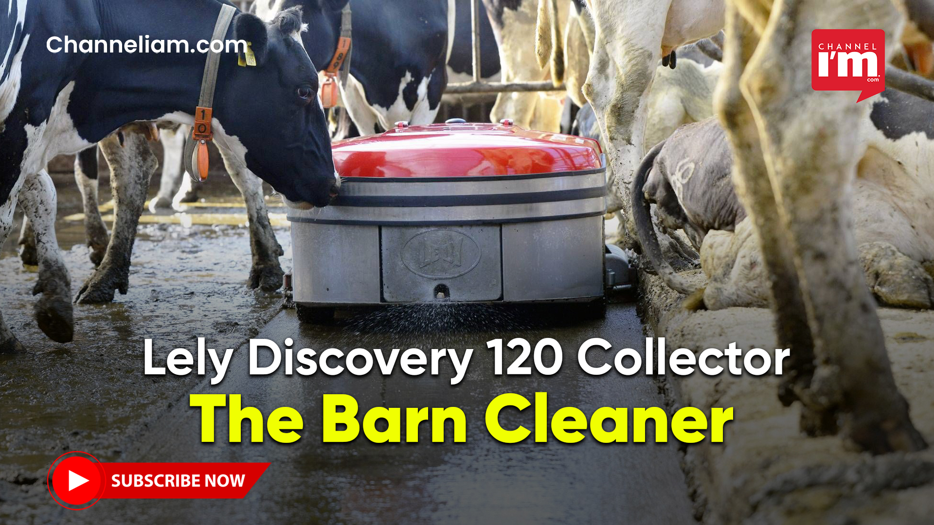 Lely Discovery 120: Smart Manure Robot for Clean Barns