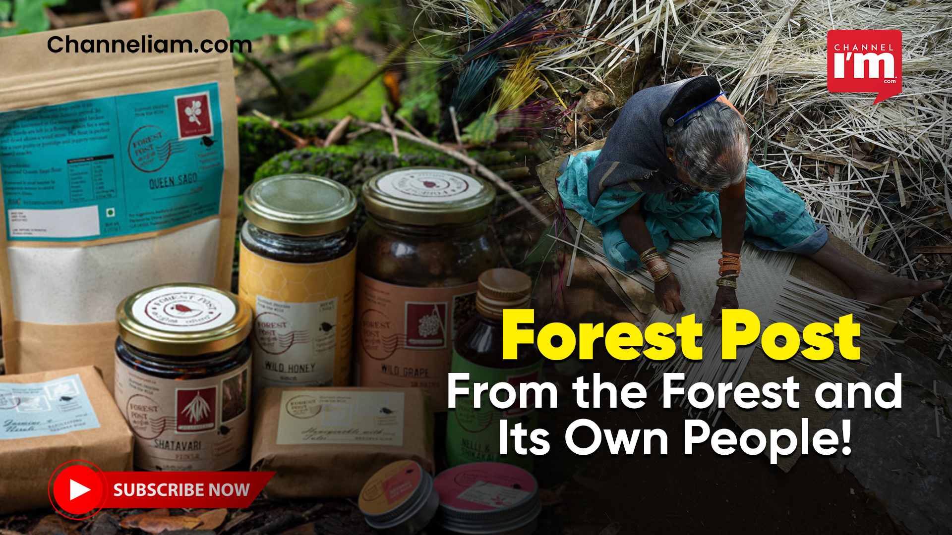 Empowering Tribal Communities: The Story of Forest Post in Kerala