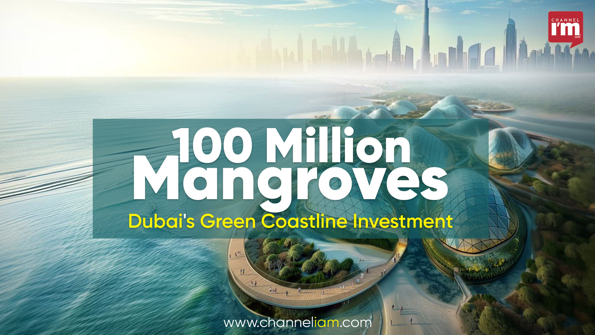 Dubai Mangroves Project: Ushering in a Green Transformation Along the Coastline