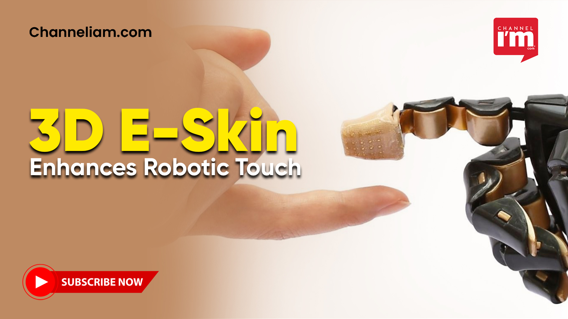 3D E-Skin Enhances Robotic Touch - Channeliam / Channel I'M English