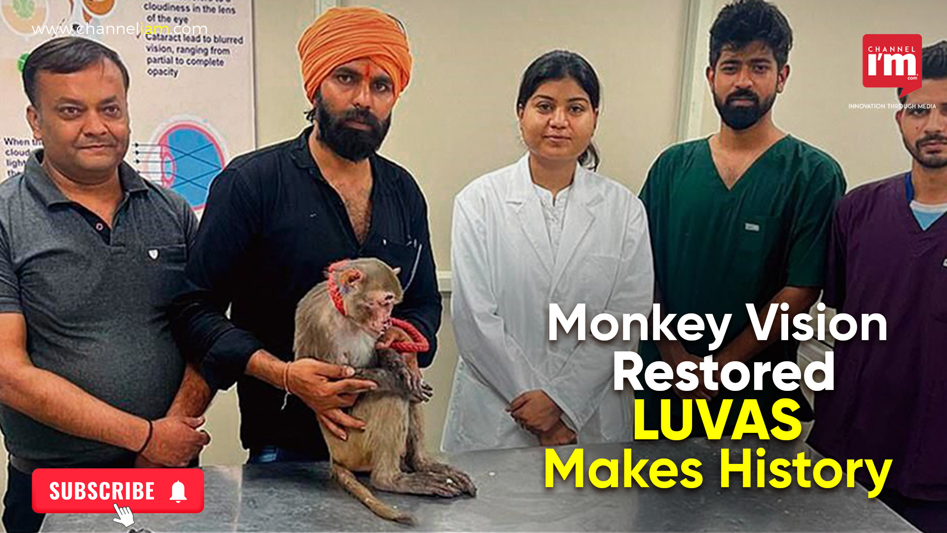 LUVAS Hisar Performs Cataract Surgery on Monkey in Haryana
