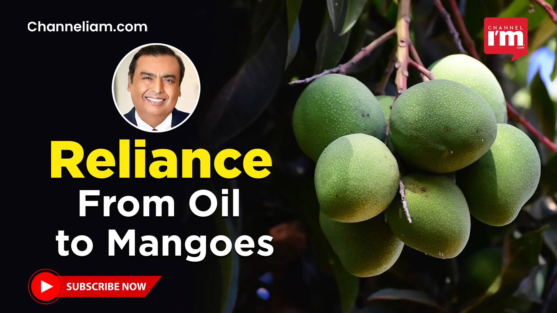 Reliance From Oil to Mangoes - Channeliam / Channel I'M English