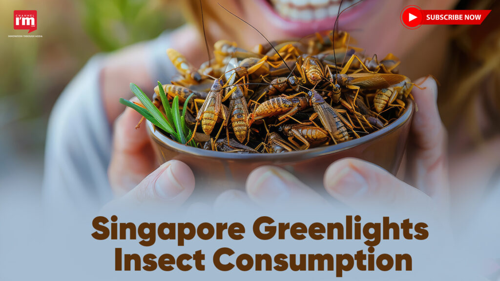 Singapore Approves 16 Edible Insect Species for Consumption