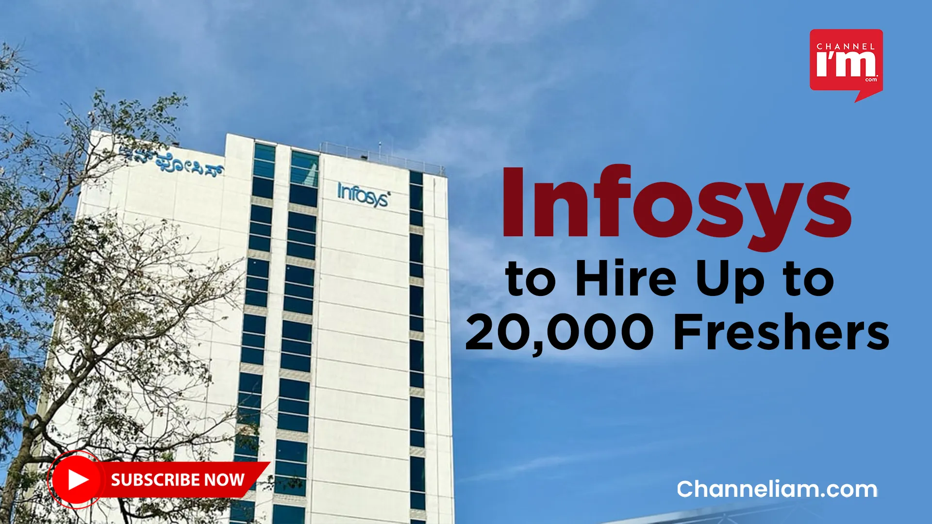 Infosys to Hire Up to 20,000 Freshers in FY25