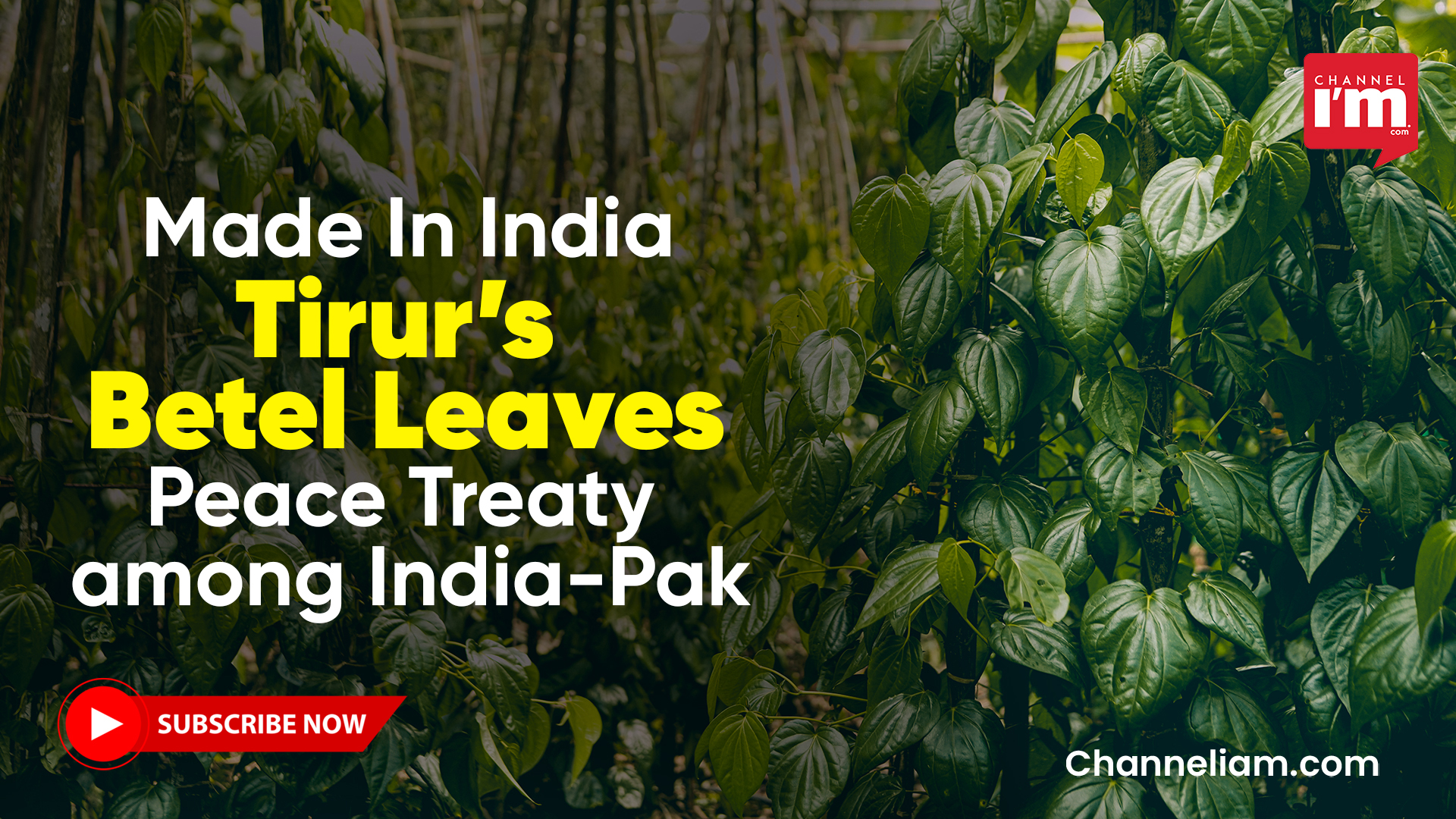 Tirur Betel Leaf Farmers Hope for Trade Revival