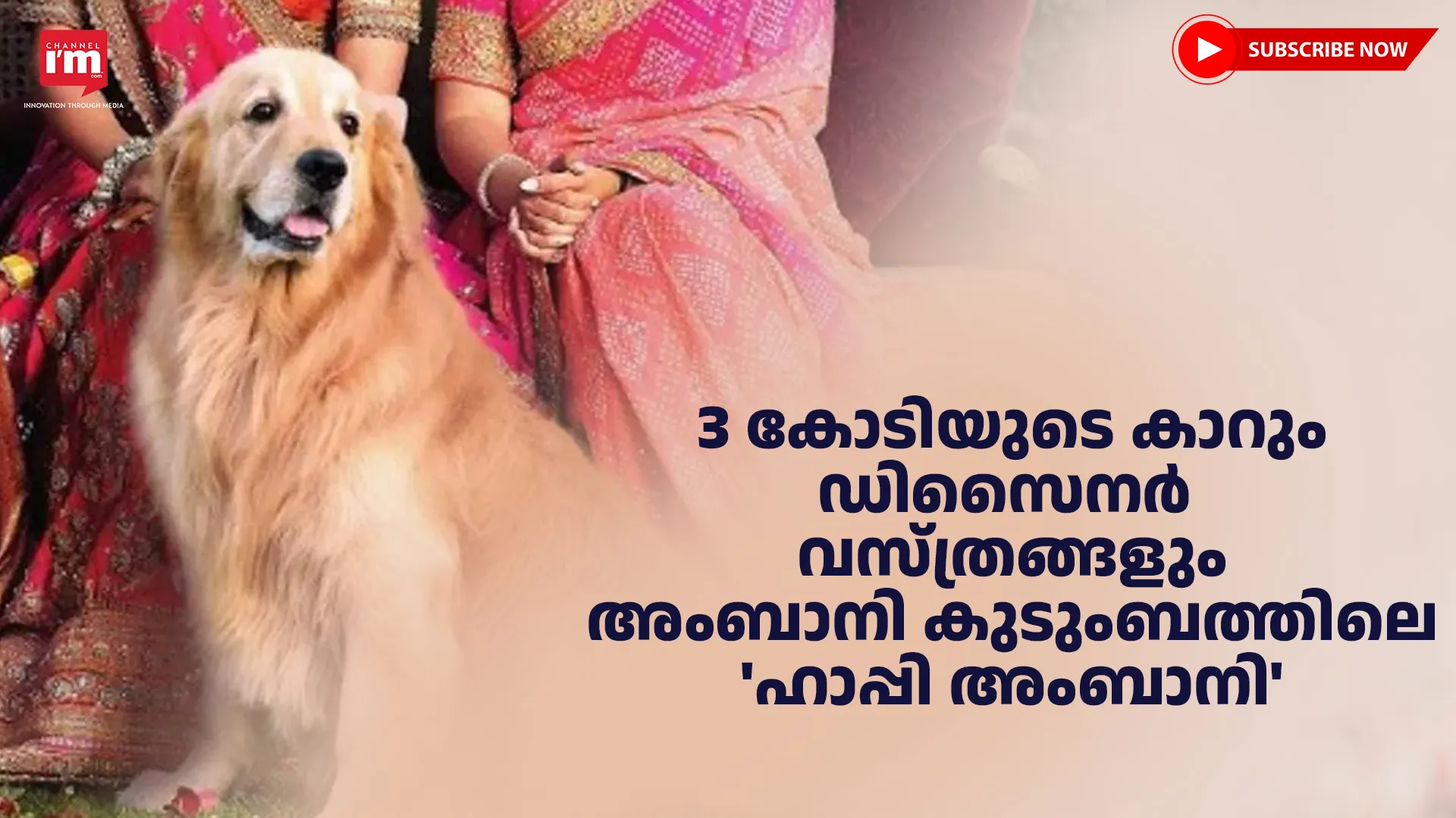 Happy Ambani: The Golden Retriever Who Stole the Show
