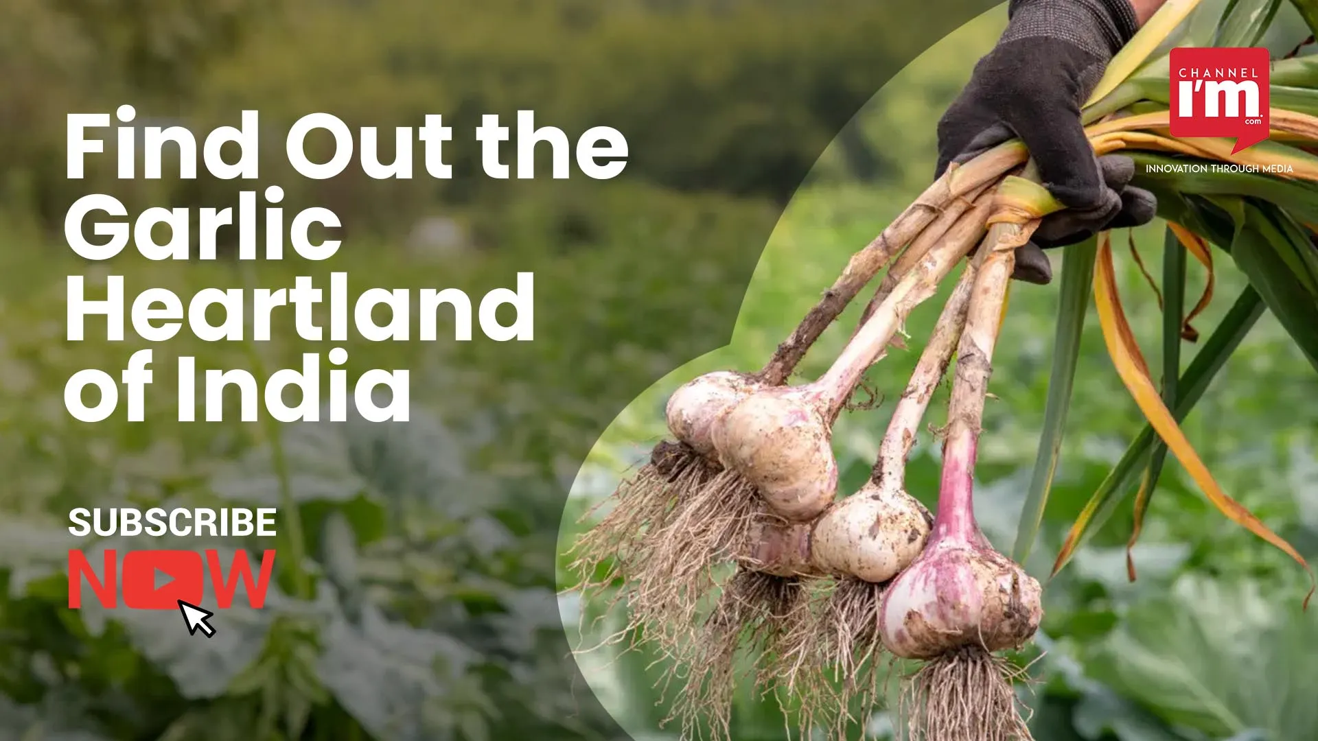 Find Out the Garlic Heartland of India - Channeliam / Channel I'M English