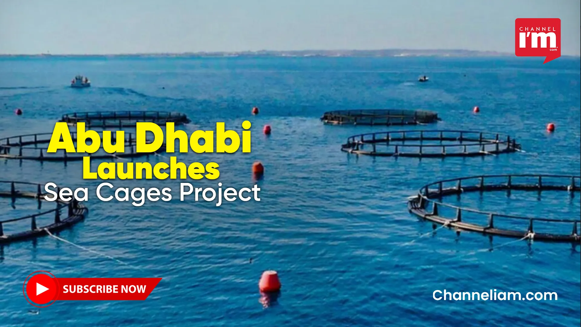 Abu Dhabi Launches First AI-Powered Sea Cages Project