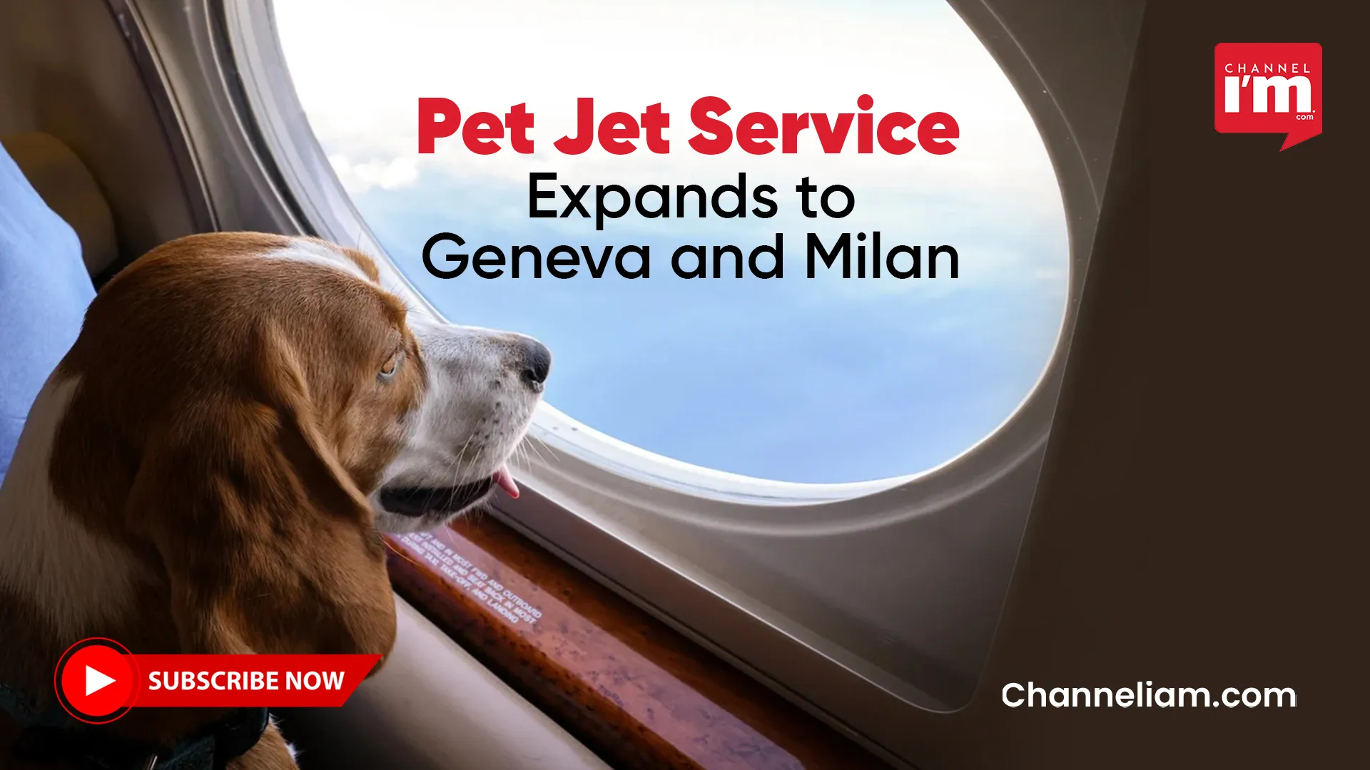 Pet Jet Service Expands to Geneva and Milan - Channeliam / Channel I'M ...