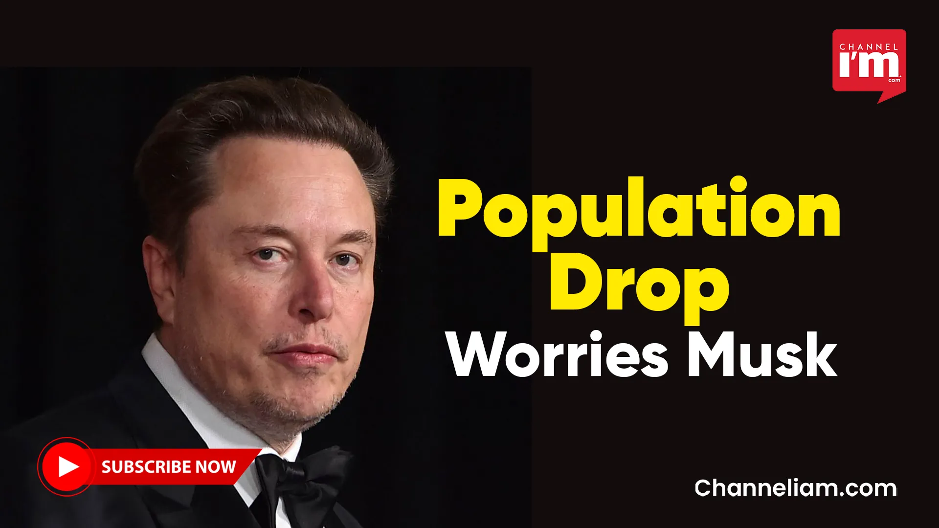 Musk Warns About Falling Populations - Channeliam / Channel I'M English