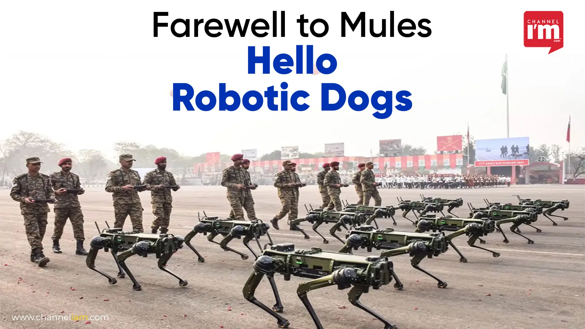Farewell to Mules Hello Robotic Dogs - Channeliam / Channel I'M English