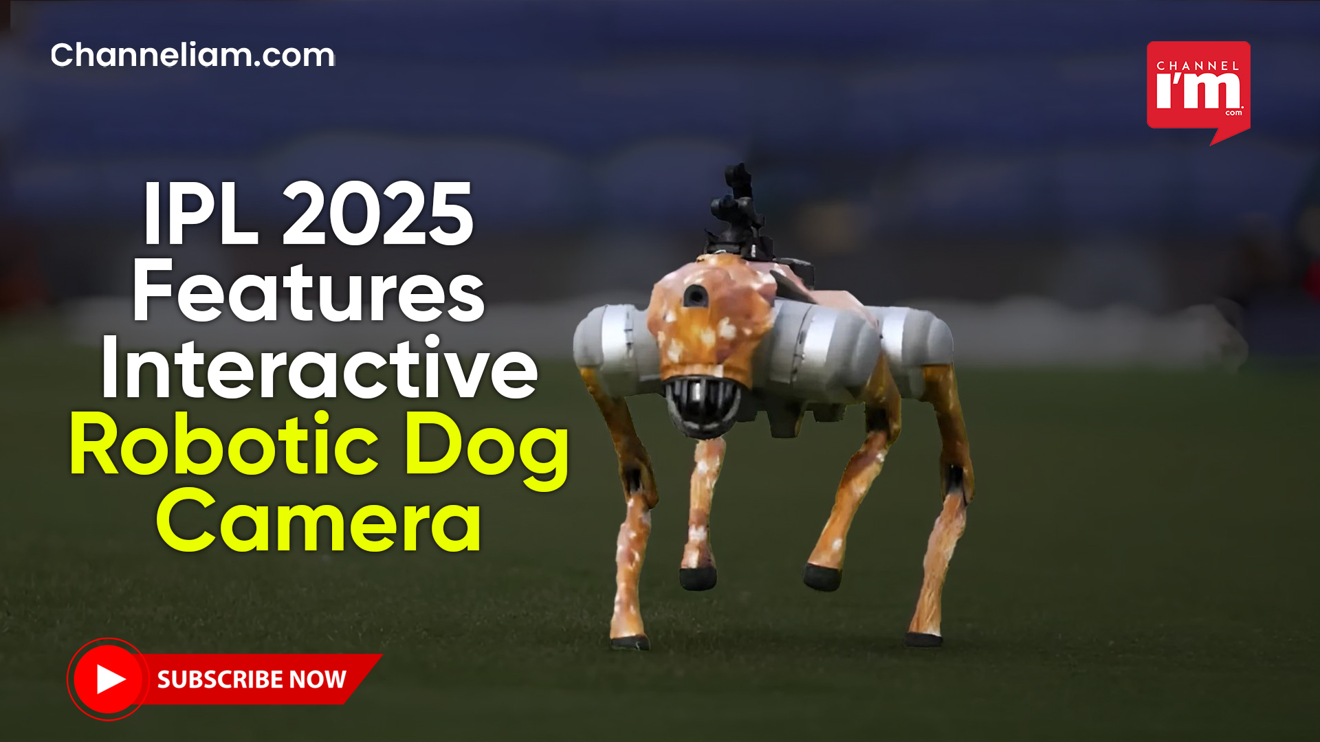 Robotic Dog Brings Fun to IPL 2025 - Channeliam / Channel I'M English