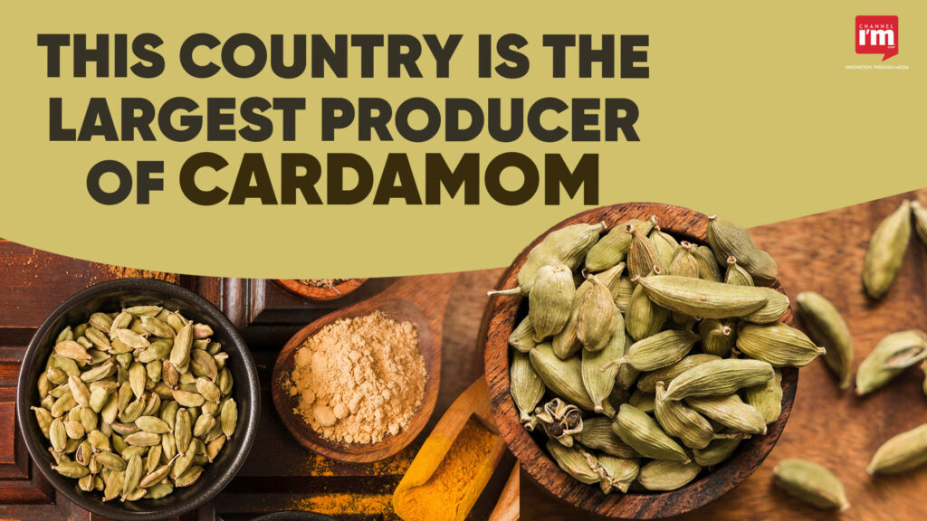 Guatemala: The World's Largest Cardamom Producer