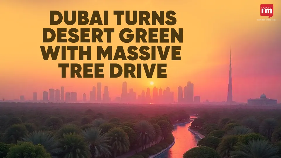 Dubai Plants 300,000 Trees in 2025 for Greener Urban Future