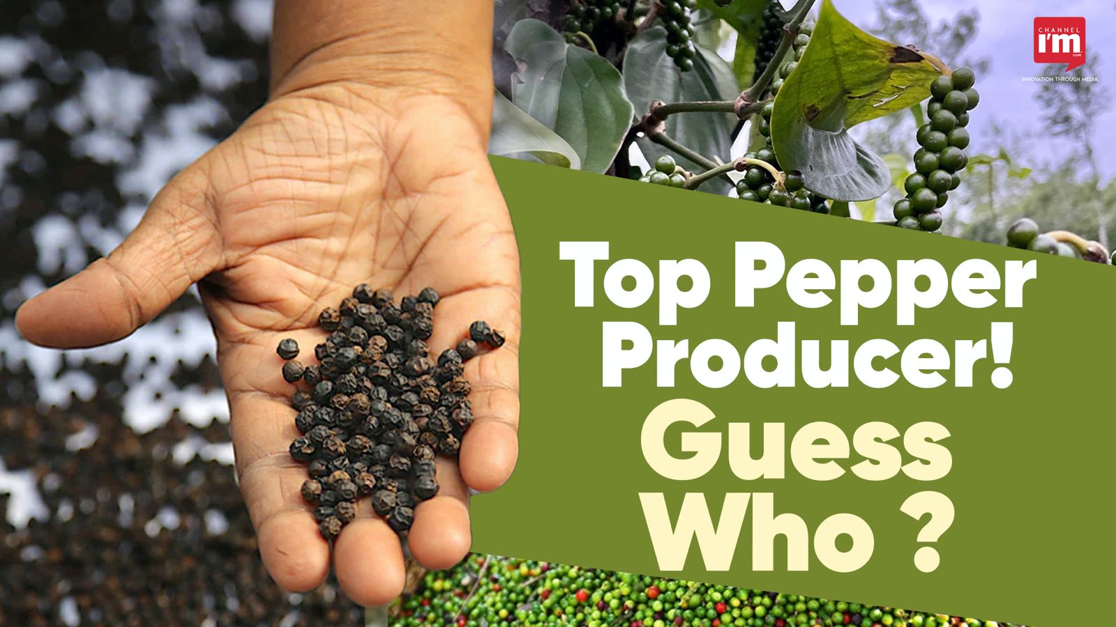 Vietnam: Top Black Pepper Producer & Exporter