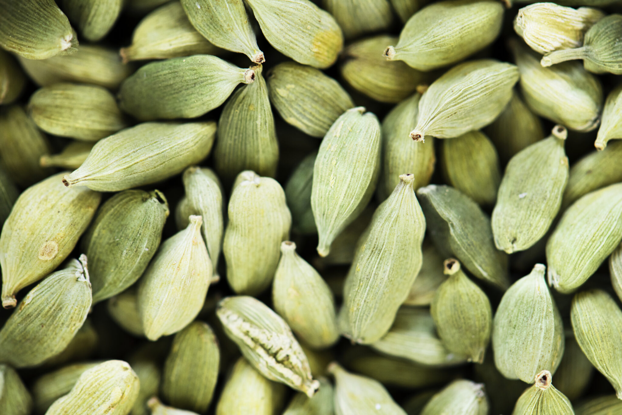 Guatemala: The World's Largest Cardamom Producer