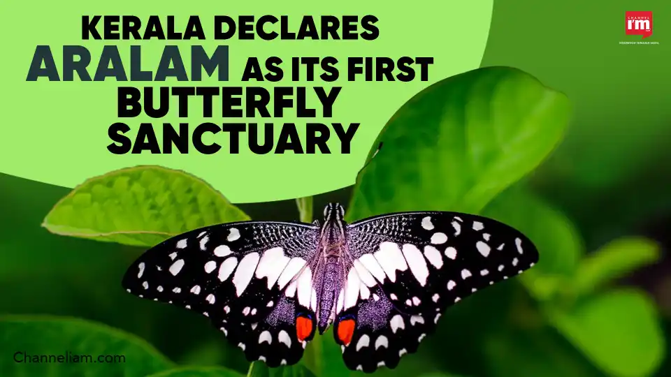 Aralam Declared Kerala’s First Butterfly Sanctuary