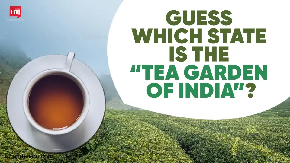 The “Tea Garden of India”