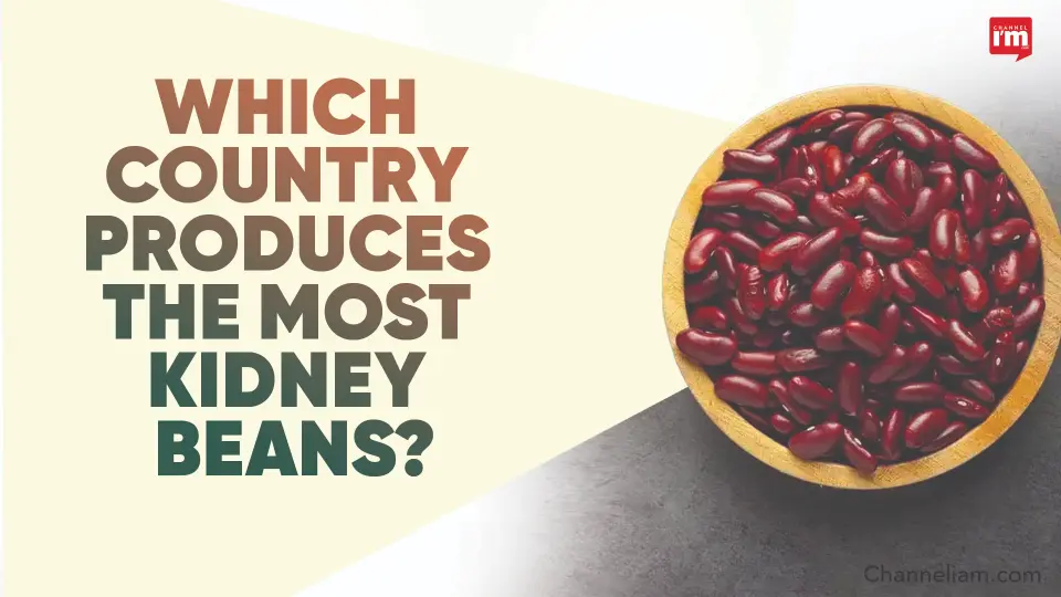 World’s Largest Kidney Beans Producer
