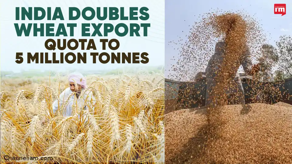 Wheat export quota doubled to 5 MT